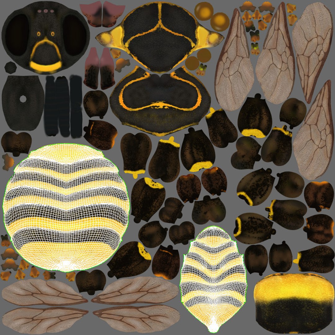 Bumblebee Bumble Bee 3d Model