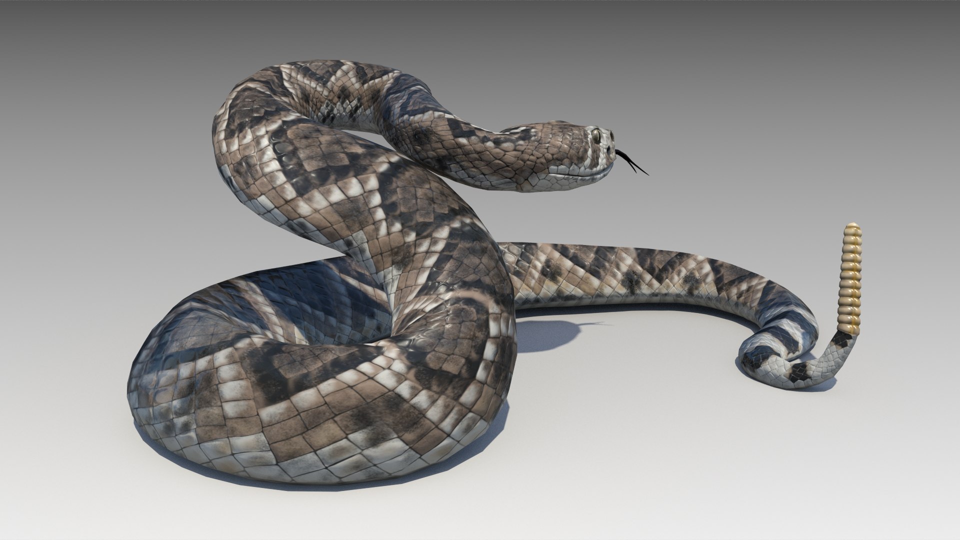 Snake Viper Reptile 3D Model - TurboSquid 1683572