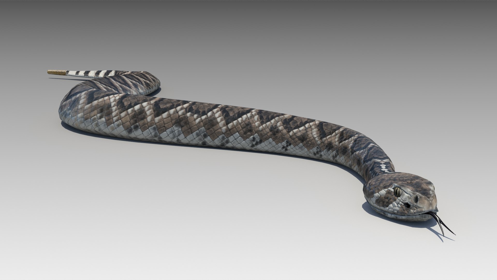 Snake Viper Reptile 3D Model - TurboSquid 1683572