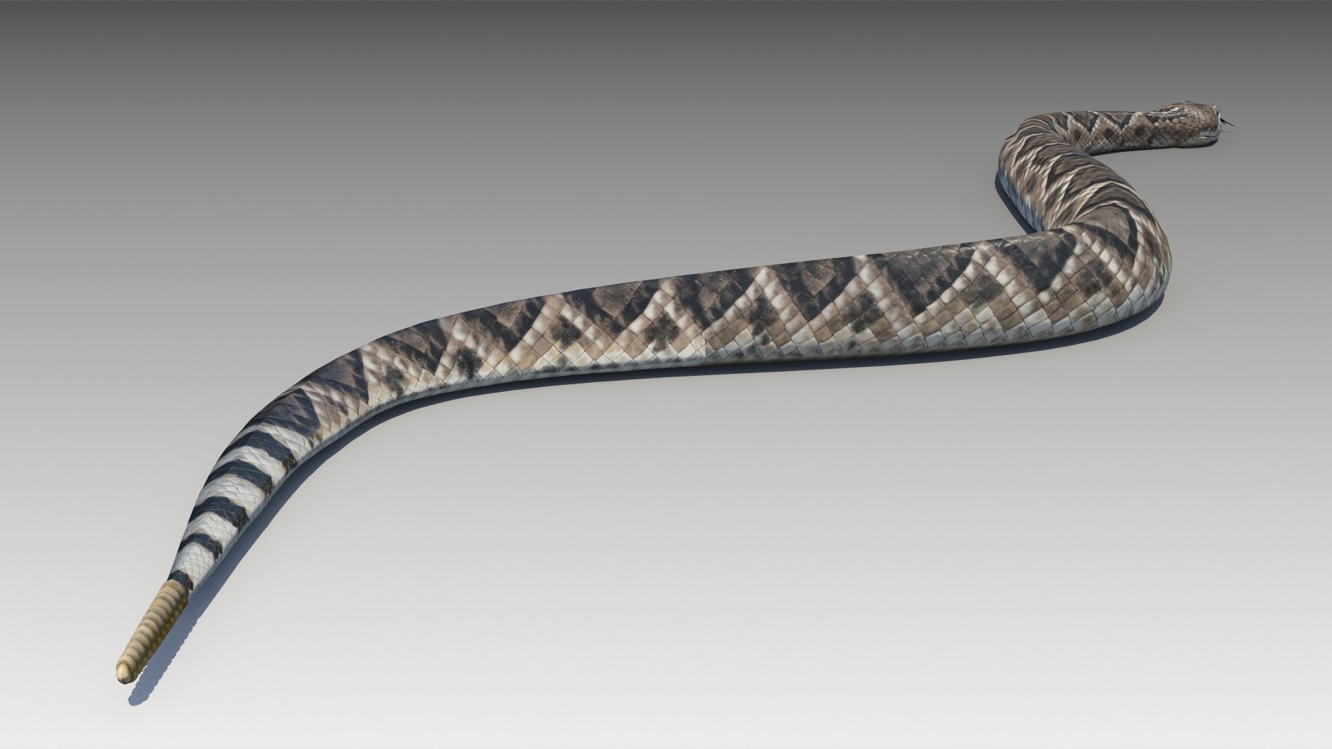 Snake Viper Reptile 3D Model - TurboSquid 1683572