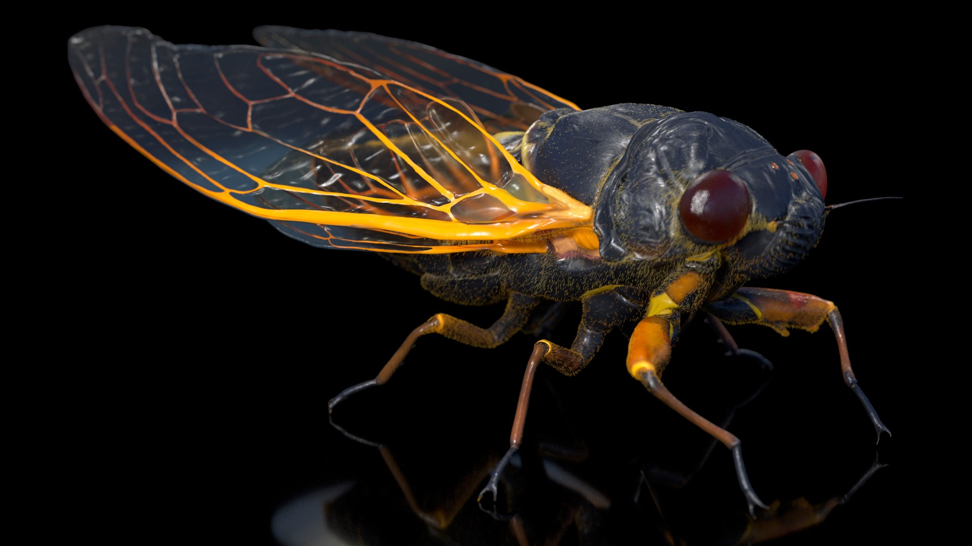 Pharaoh Cicada Fur Rigged 3D - TurboSquid 2051594