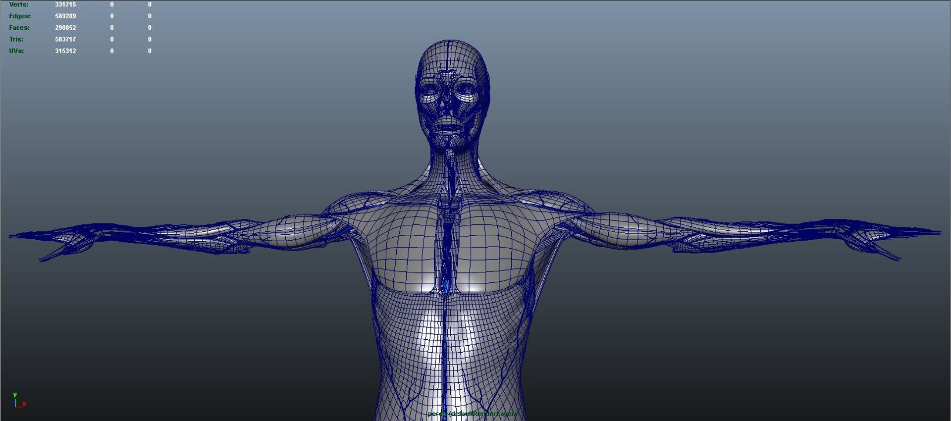 3D muscular muscles - TurboSquid 1268828