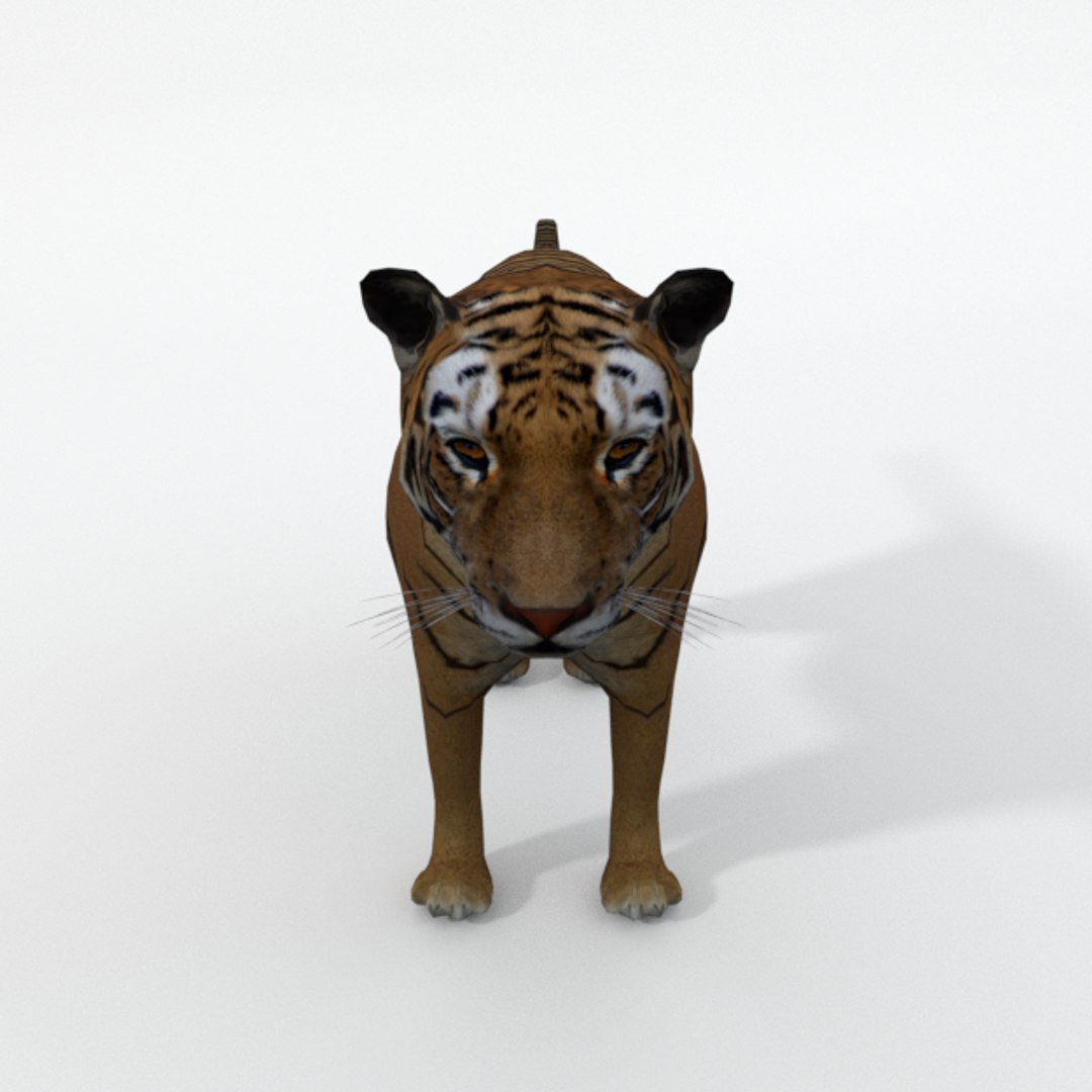 3D Tiger - TurboSquid 1329943