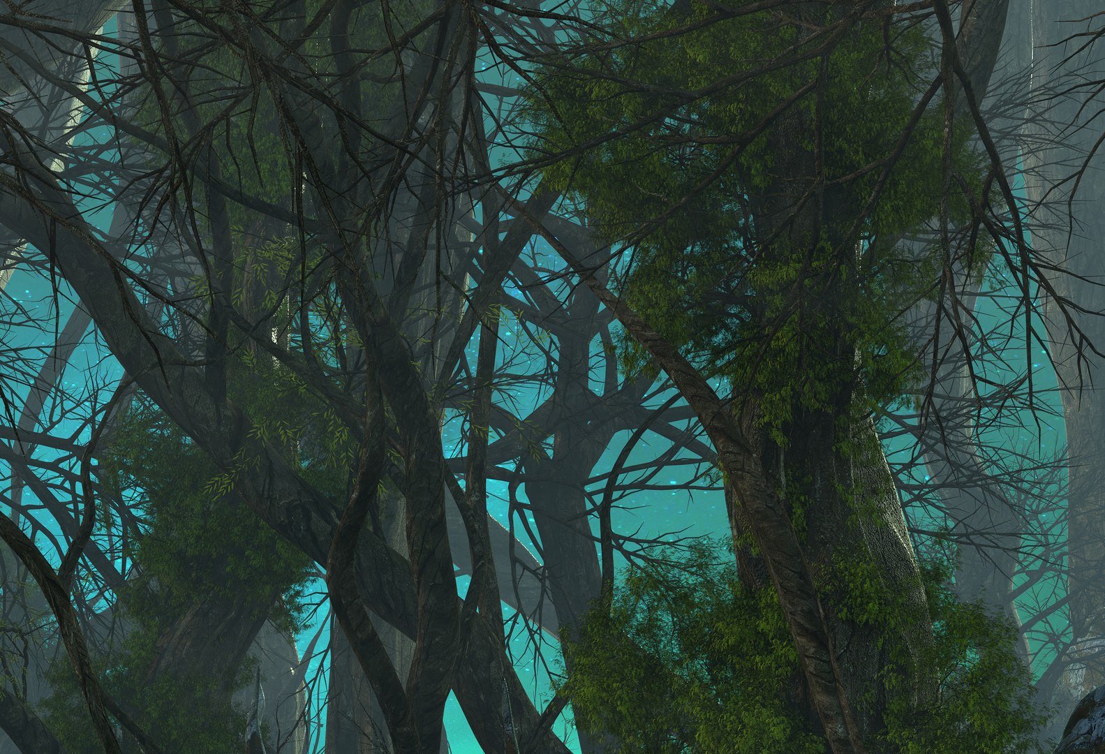 Forest Night Model - TurboSquid 1564980