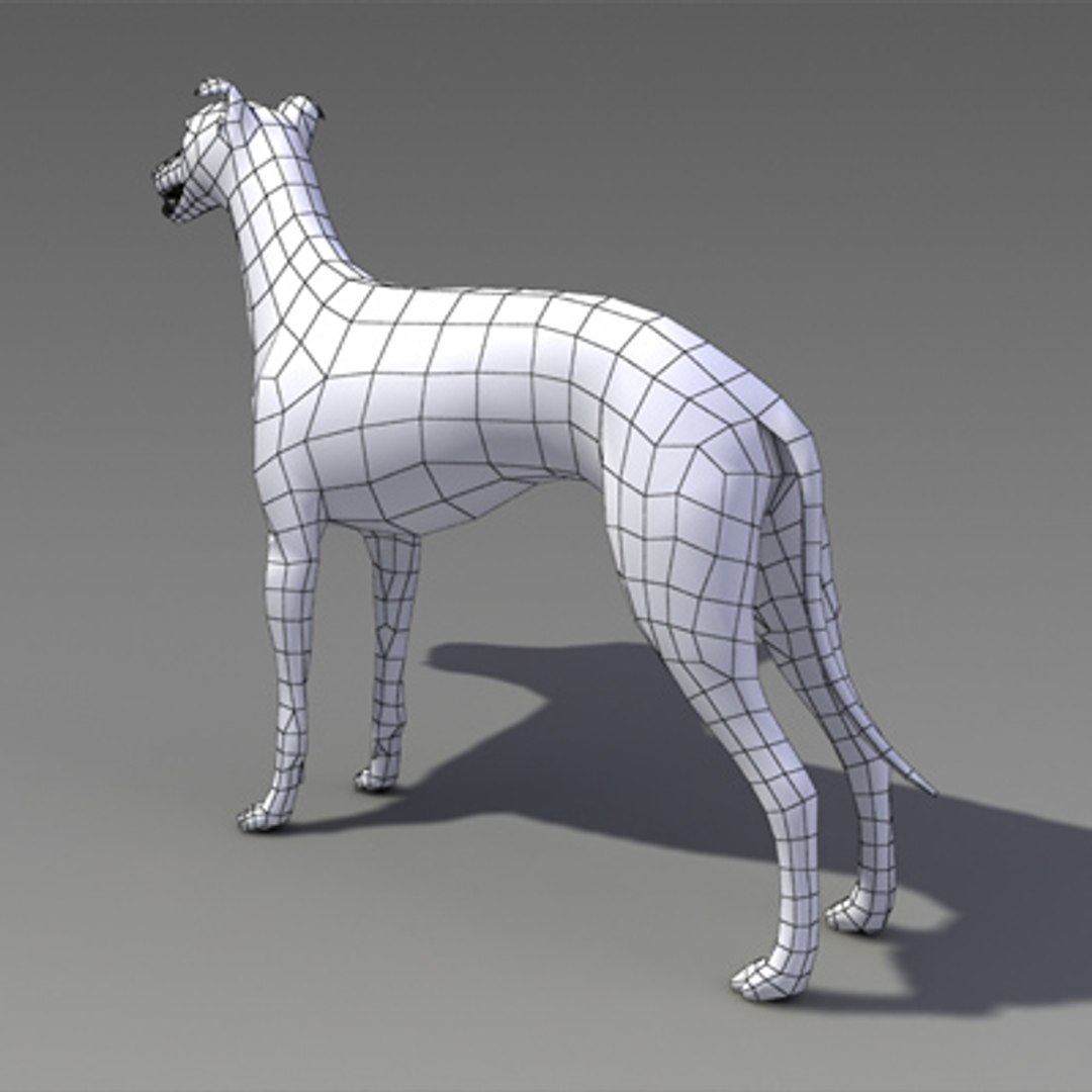 3ds Max Greyhound Dogs