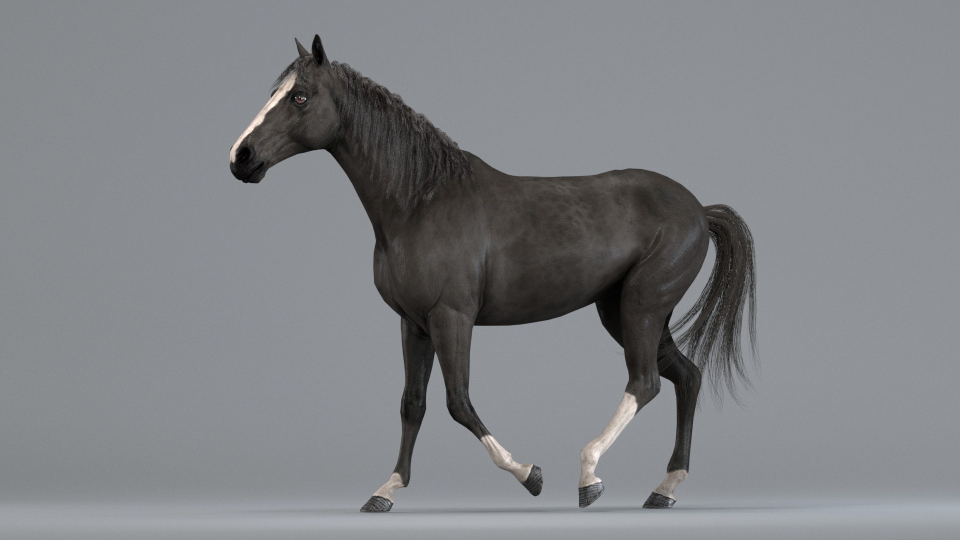 3D Realistic Horse Animation - TurboSquid 1644334