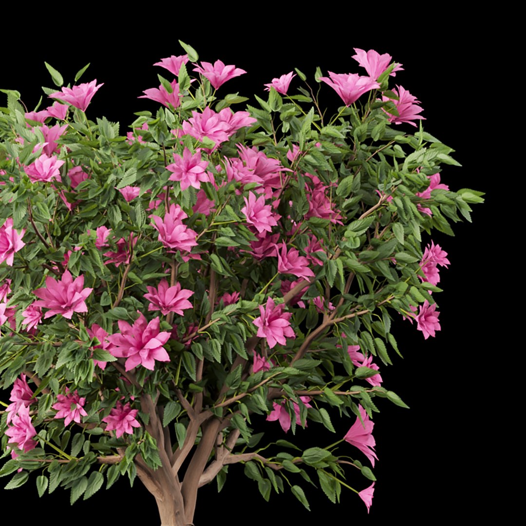 Collection Flowering Bush Vol 8 Model - TurboSquid 1947034
