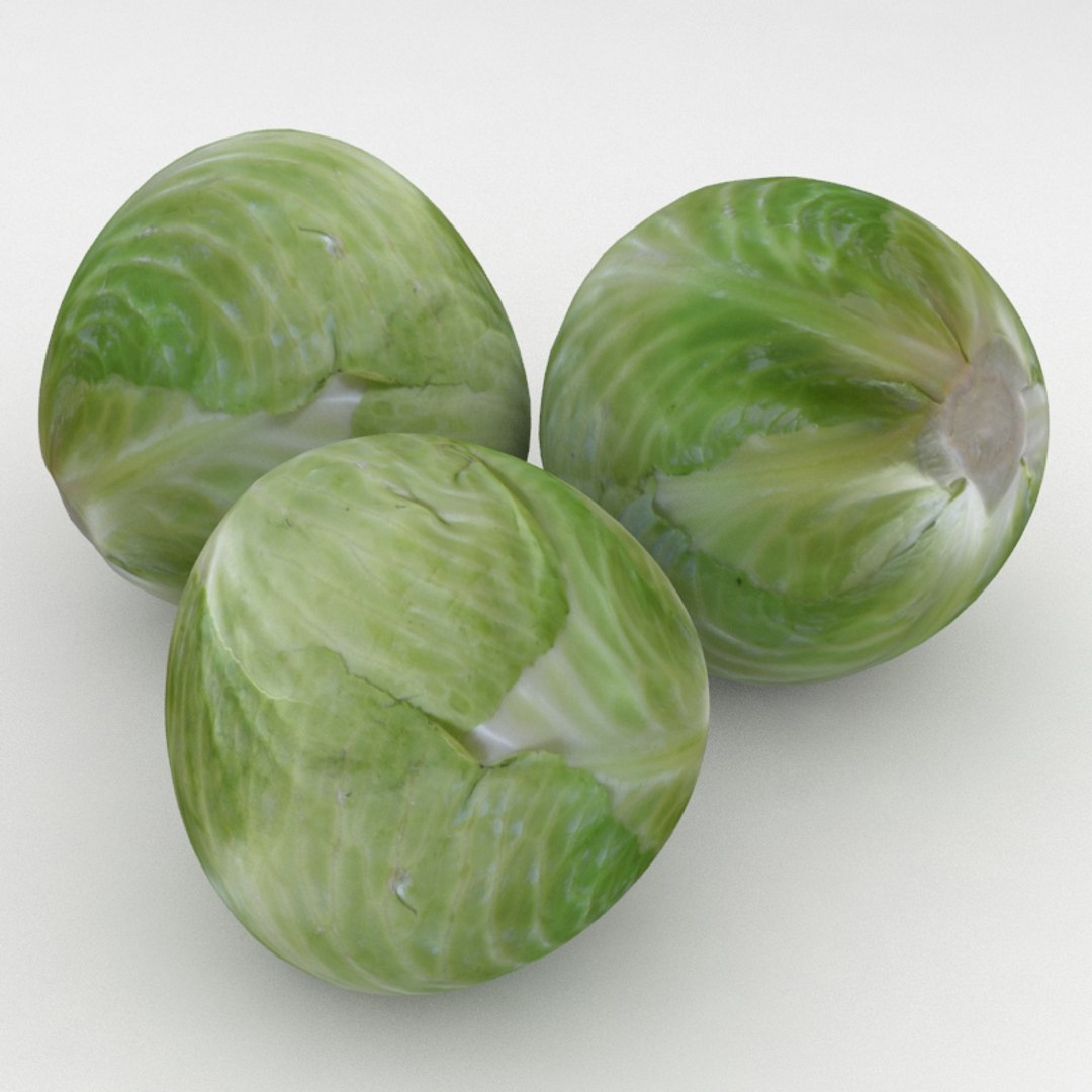 3D Vegetable Cabbage - TurboSquid 1203989