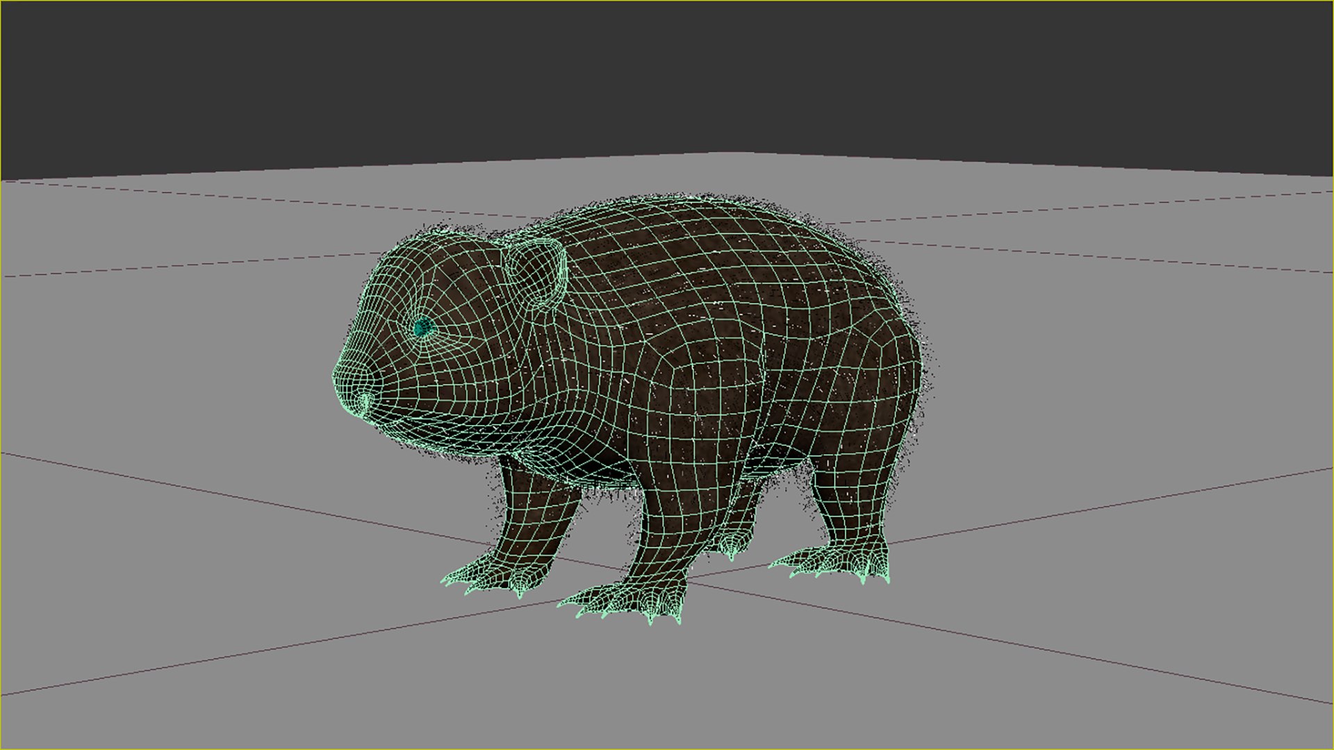 3D Wombat Marsupial Australian Animal Model - TurboSquid 1877908
