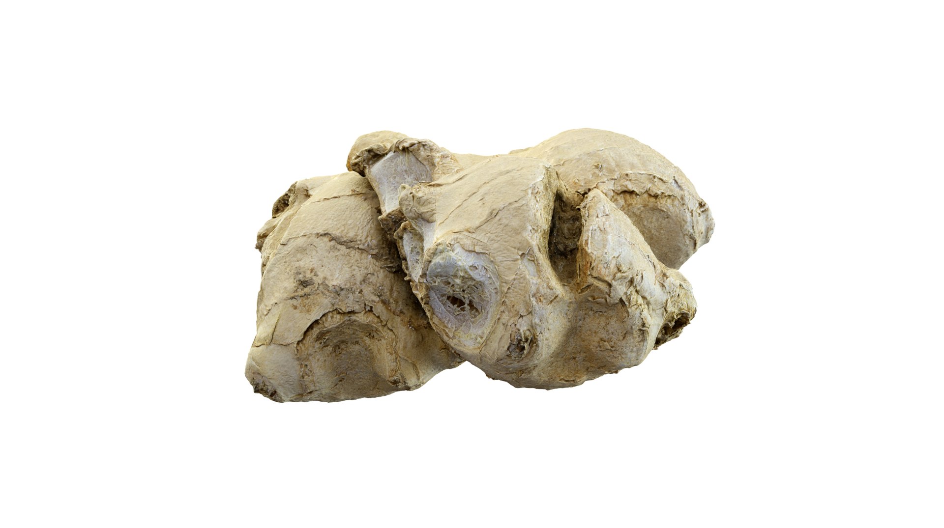 3D Ginger Root Scan Model - TurboSquid 1716618