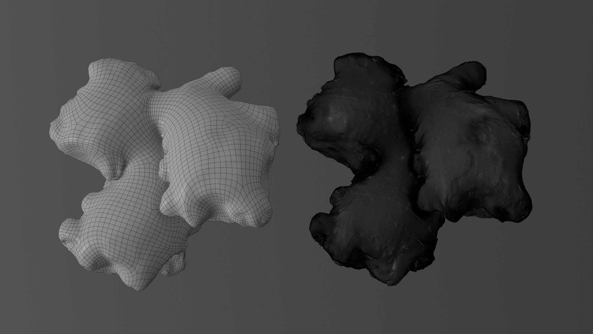 3D Ginger Root Scan Model - TurboSquid 1716618