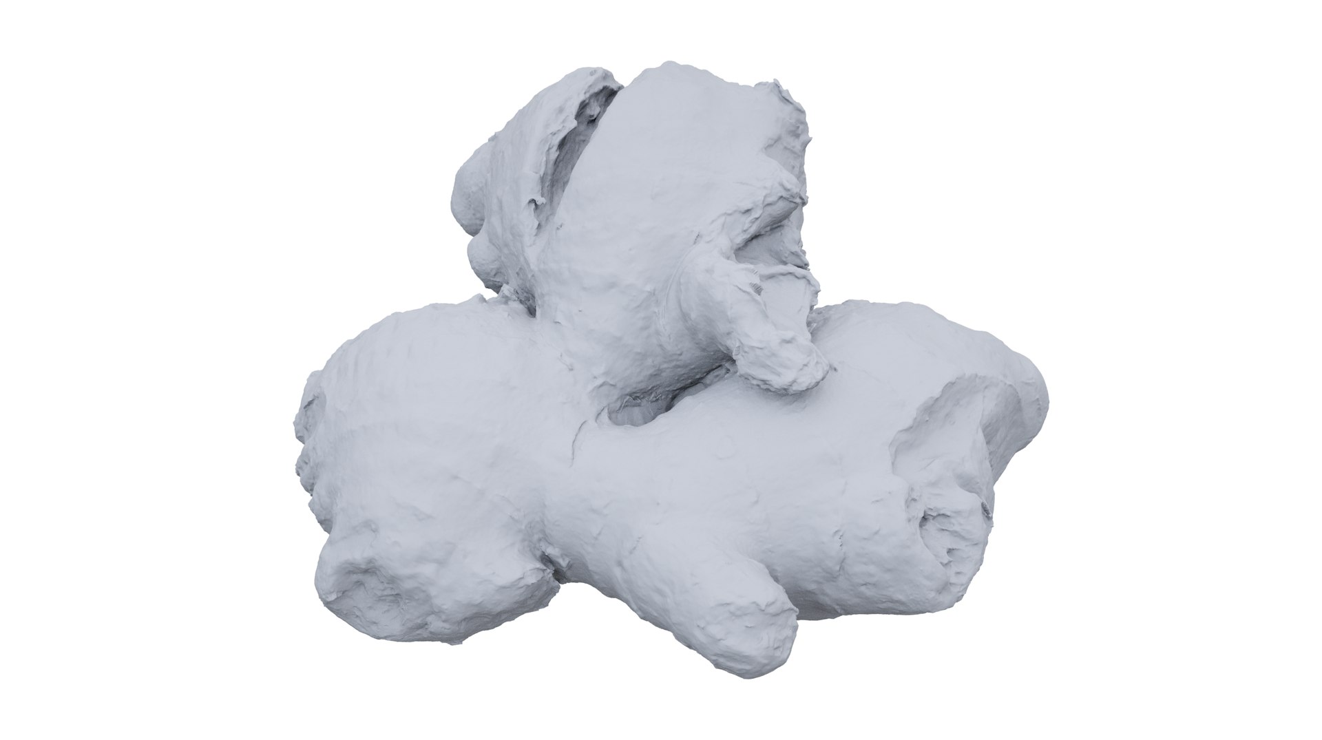 3D Ginger Root Scan Model - TurboSquid 1716618