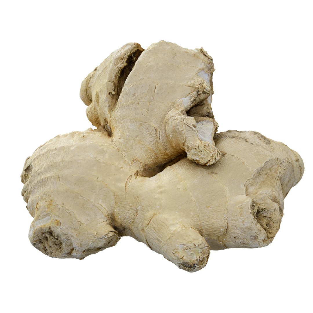 3D Ginger Root Scan Model - TurboSquid 1716618