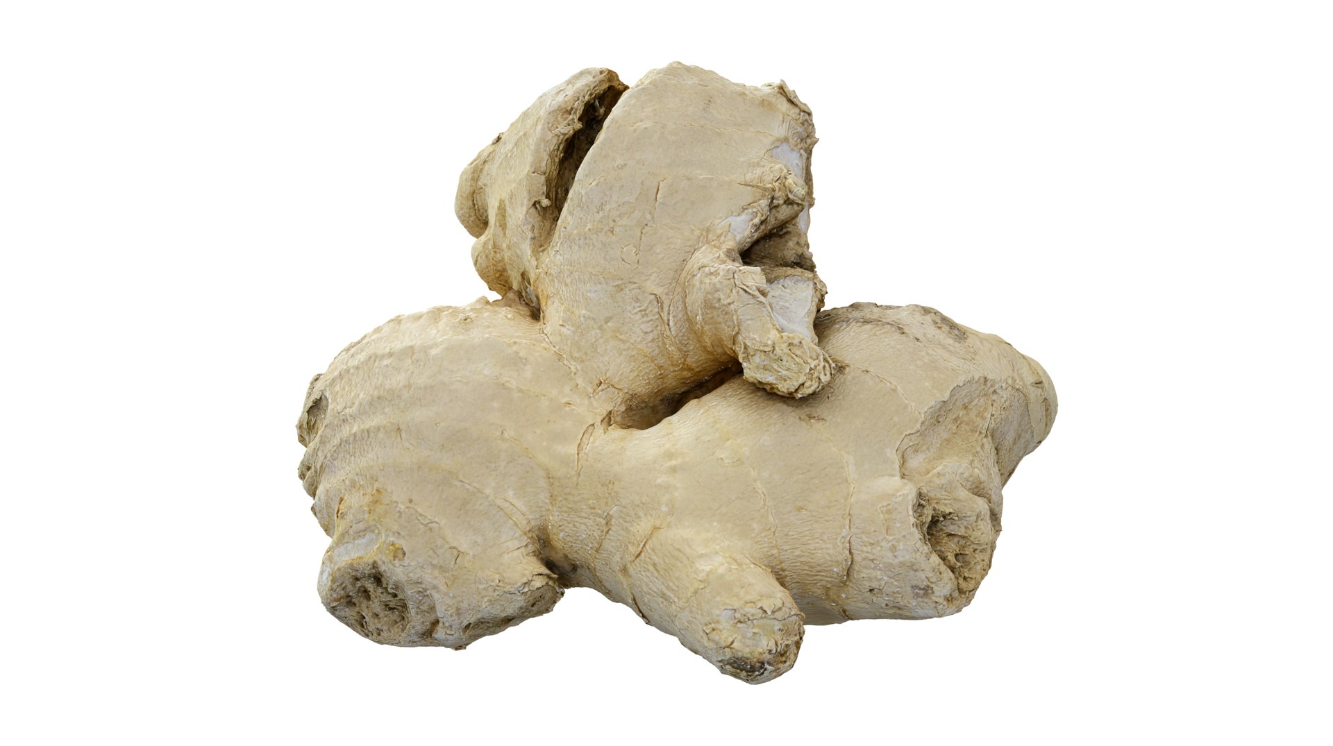 3D Ginger Root Scan Model - TurboSquid 1716618