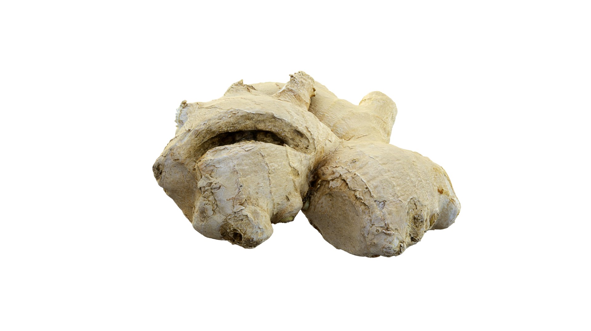 3D Ginger Root Scan Model - TurboSquid 1716618
