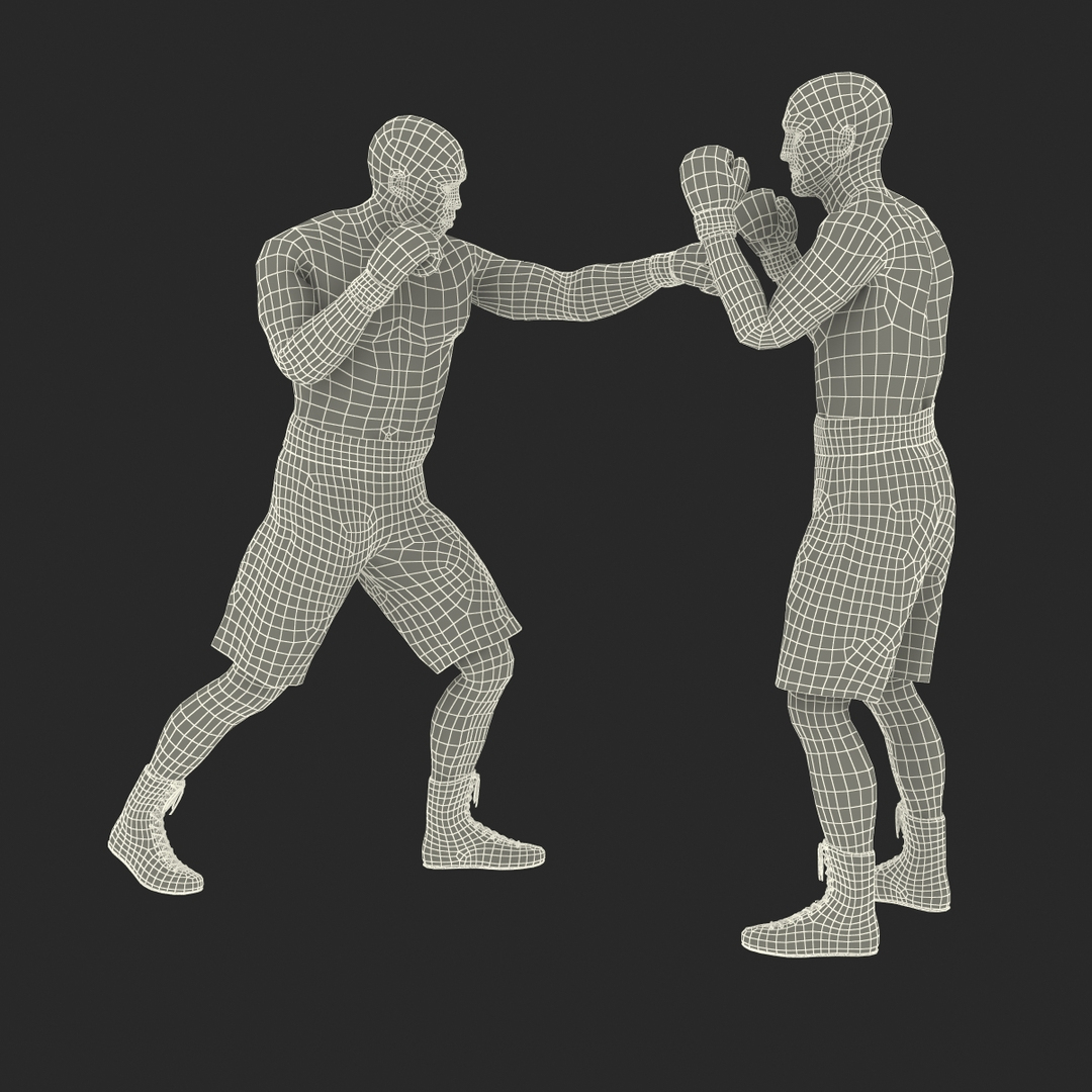 boxers fighting 2 max