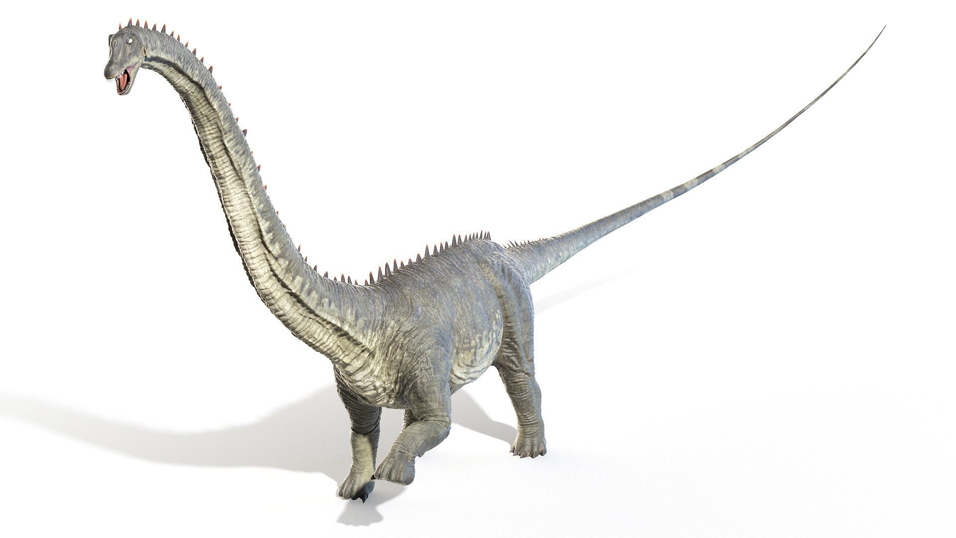 3D Diplodocus Model - TurboSquid 1659829