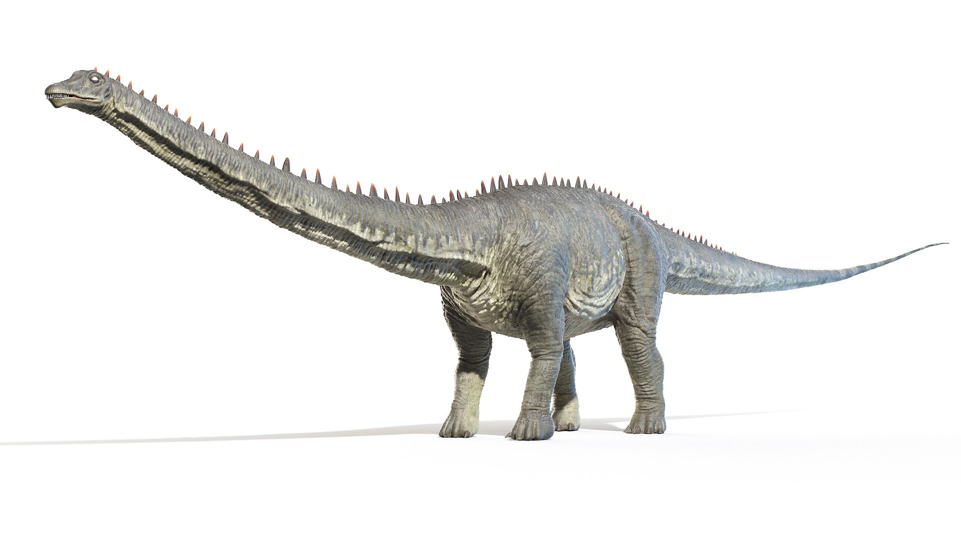 3D diplodocus model - TurboSquid 1659829