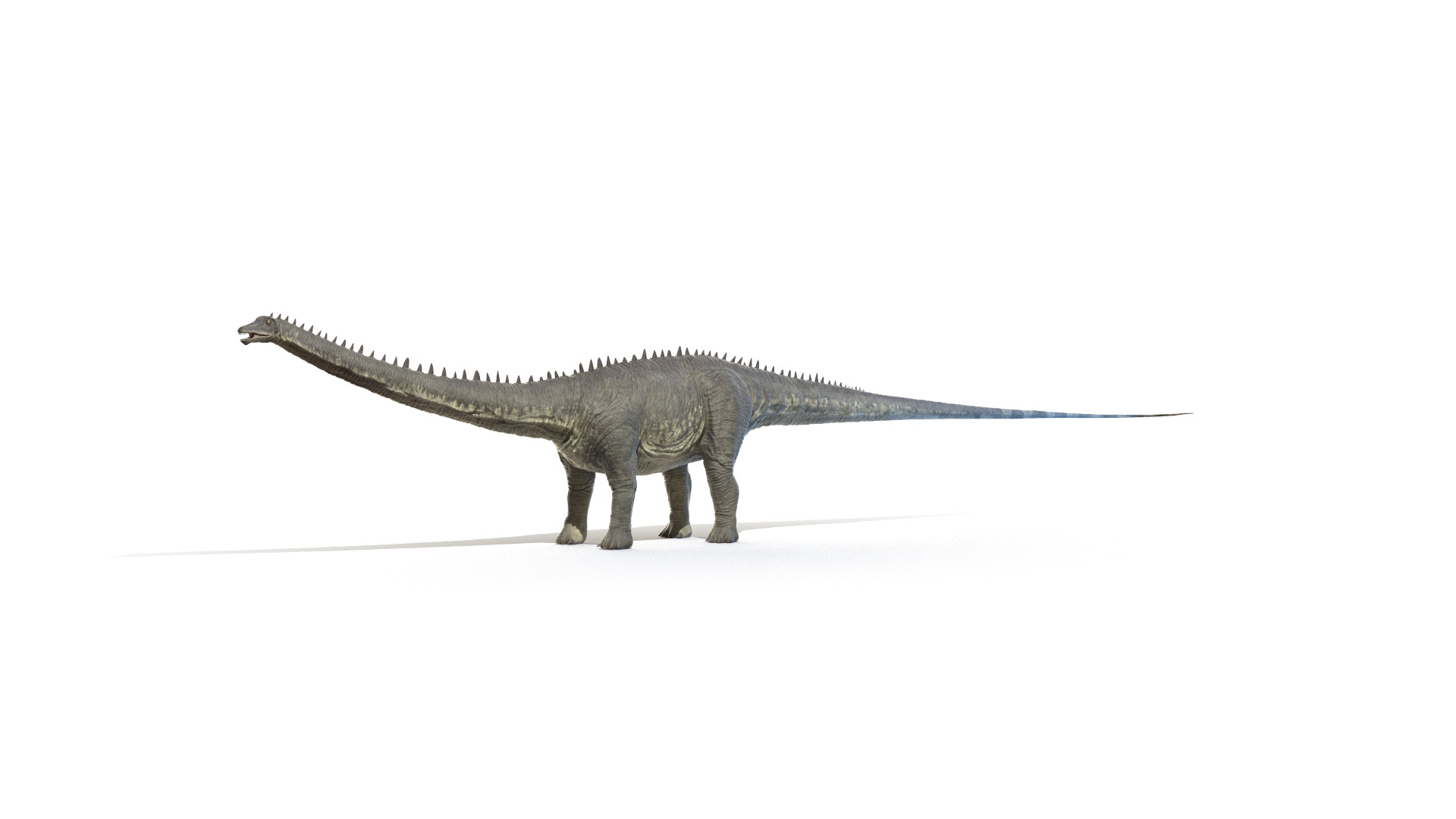 3D Diplodocus Model - TurboSquid 1659829