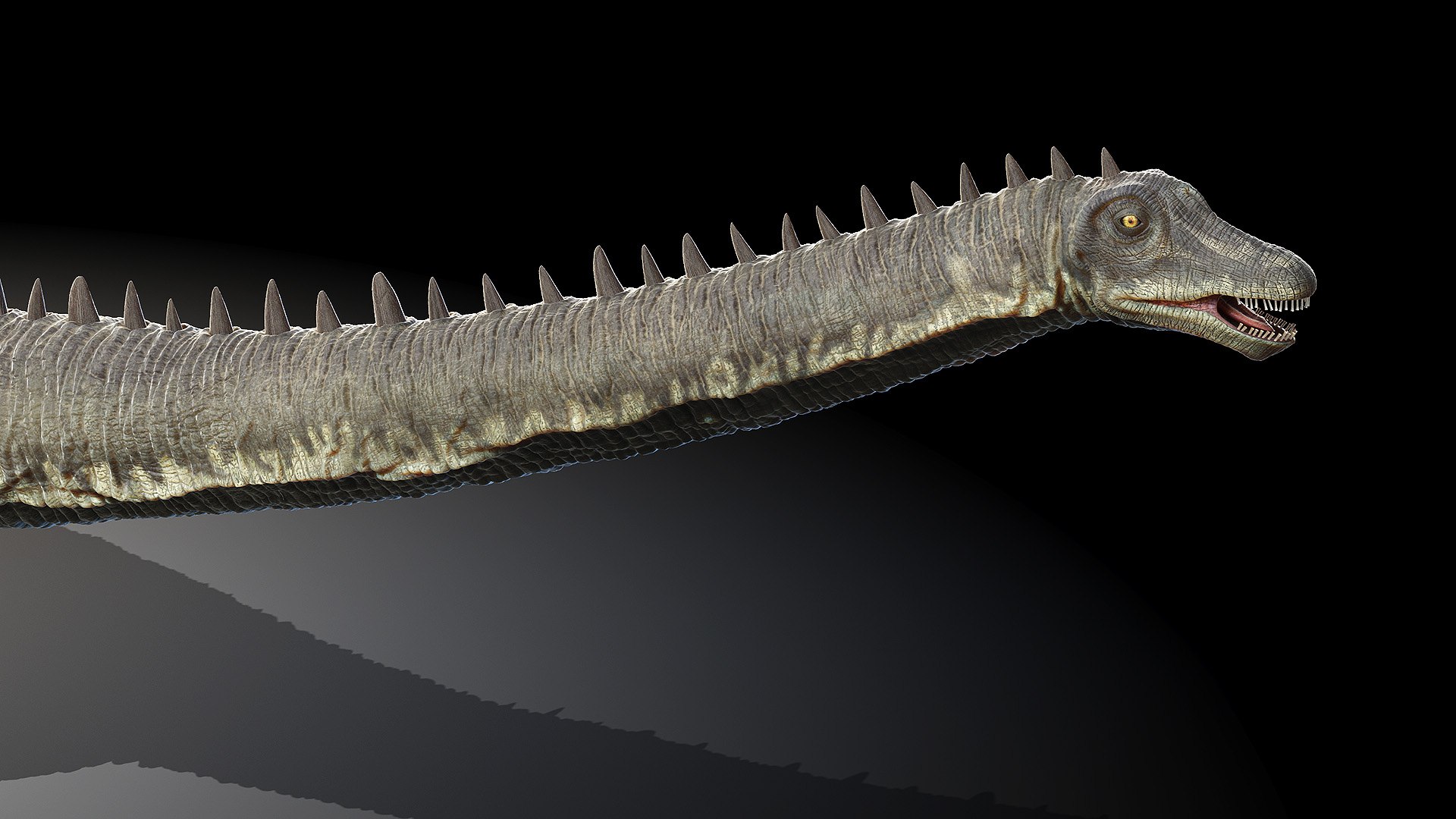3D diplodocus model - TurboSquid 1659829