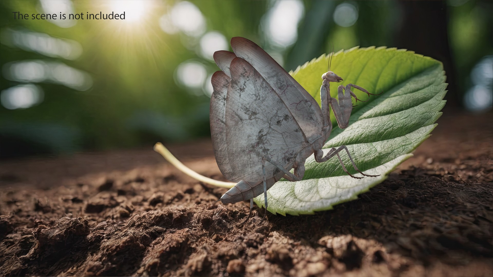3D Praying Mantis Insect Fur Rigged - TurboSquid 2220177