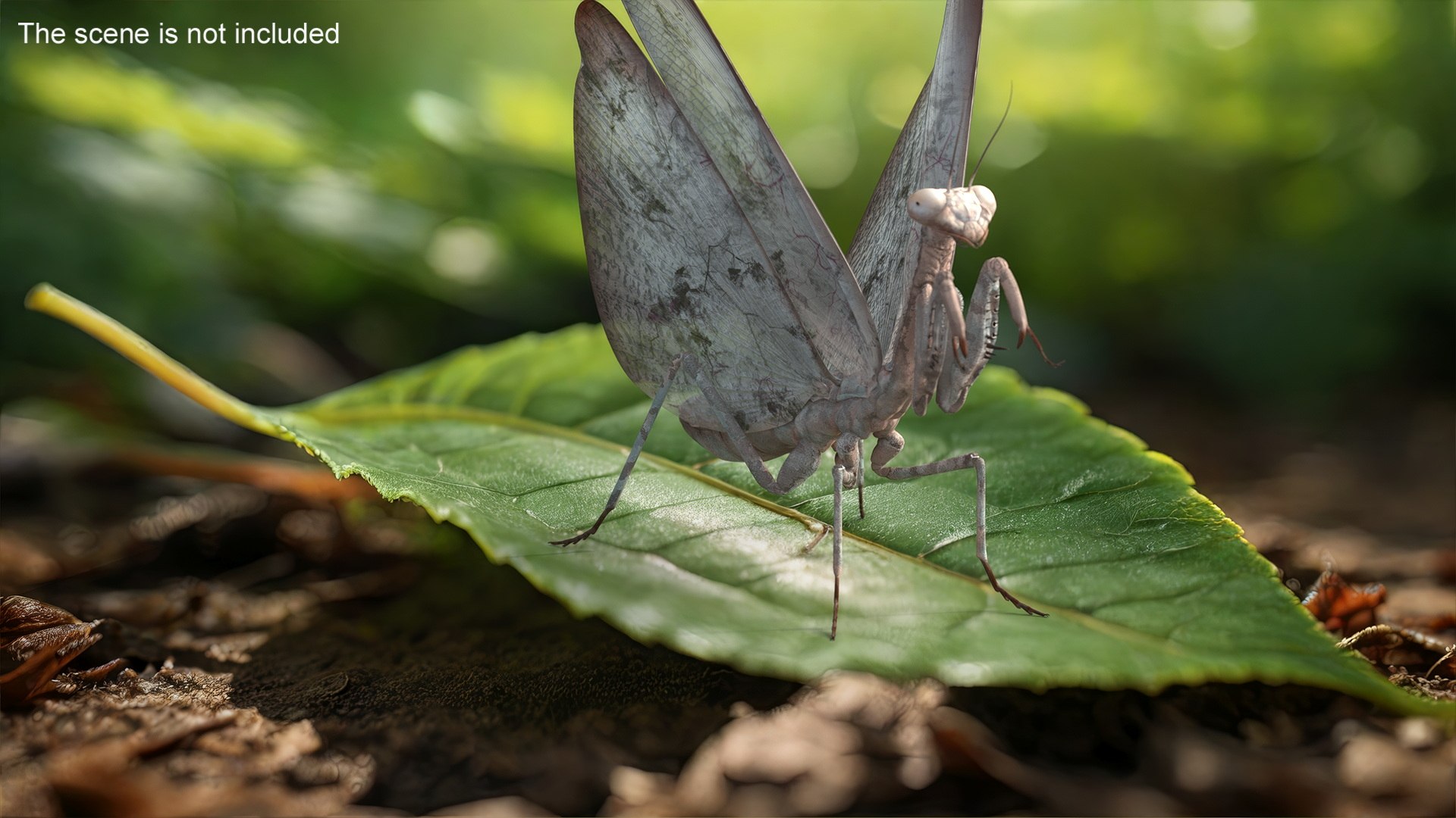 3D Praying Mantis Insect Fur Rigged - TurboSquid 2220177