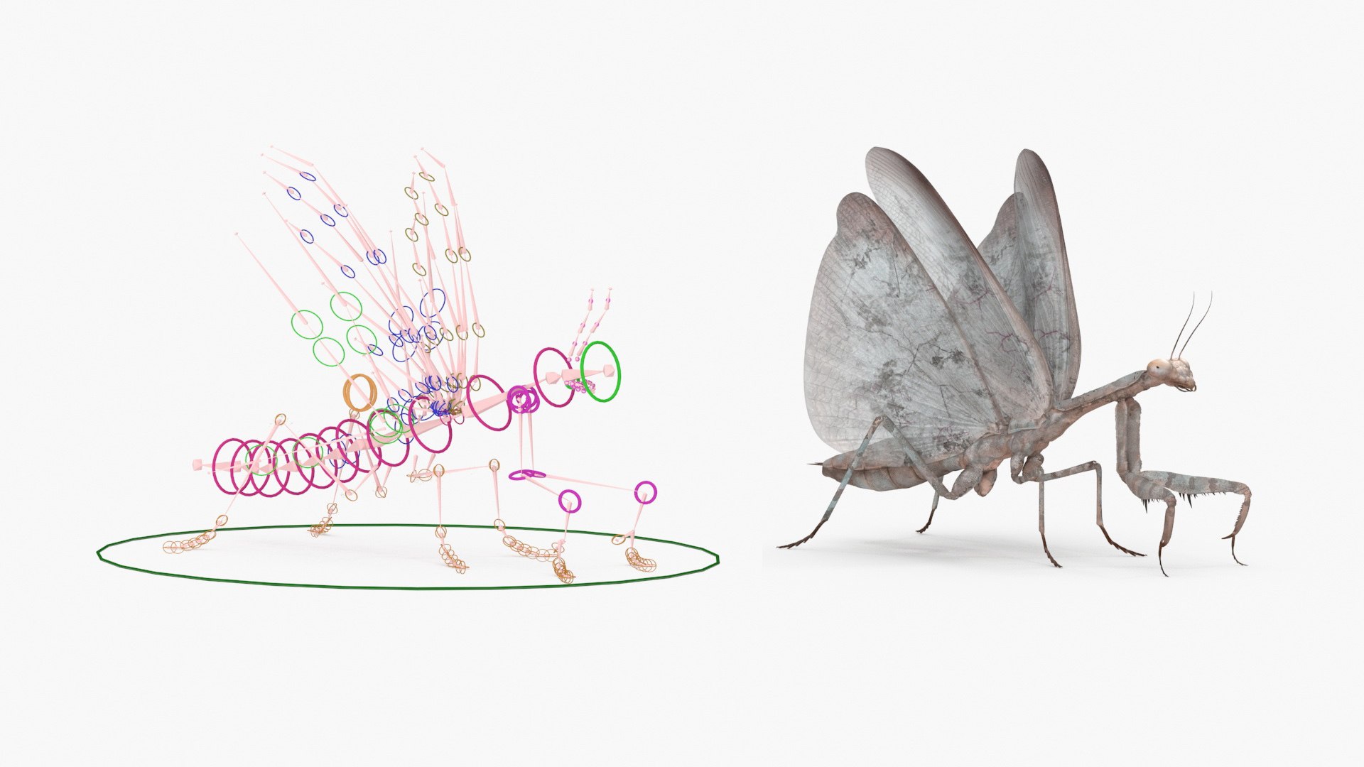 3D Praying Mantis Insect Fur Rigged - TurboSquid 2220177