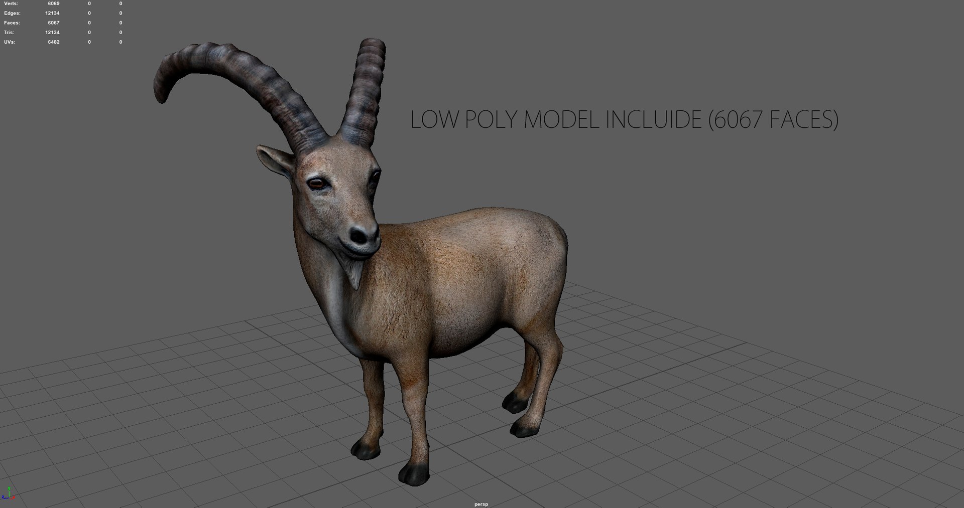Wild Goat Model - TurboSquid 1408141