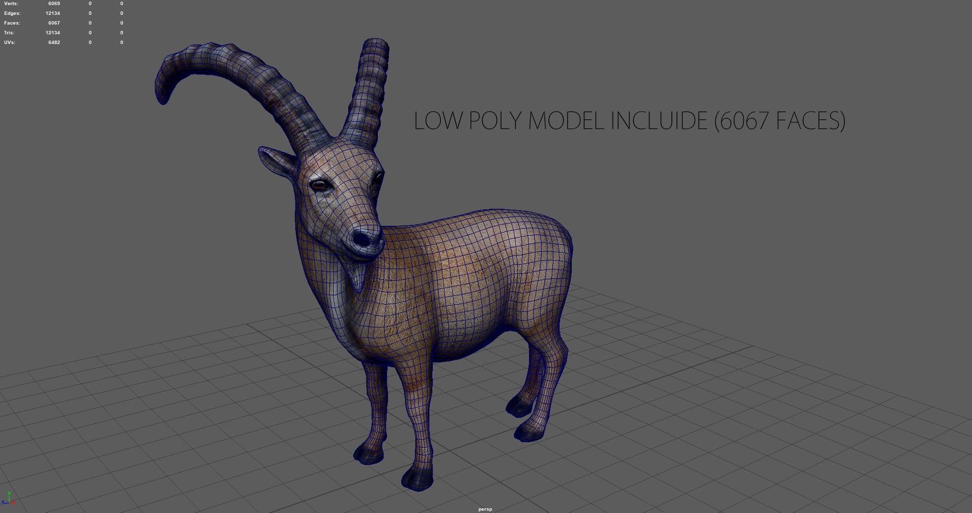 Wild Goat Model - TurboSquid 1408141