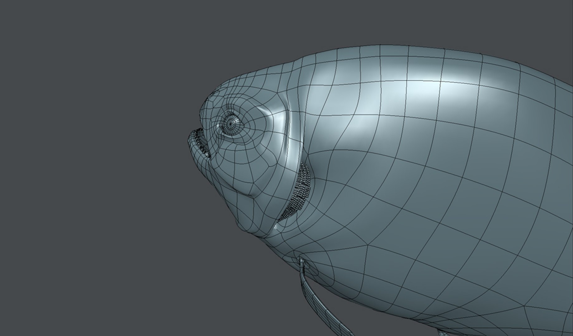 3d Scary Predator Fish