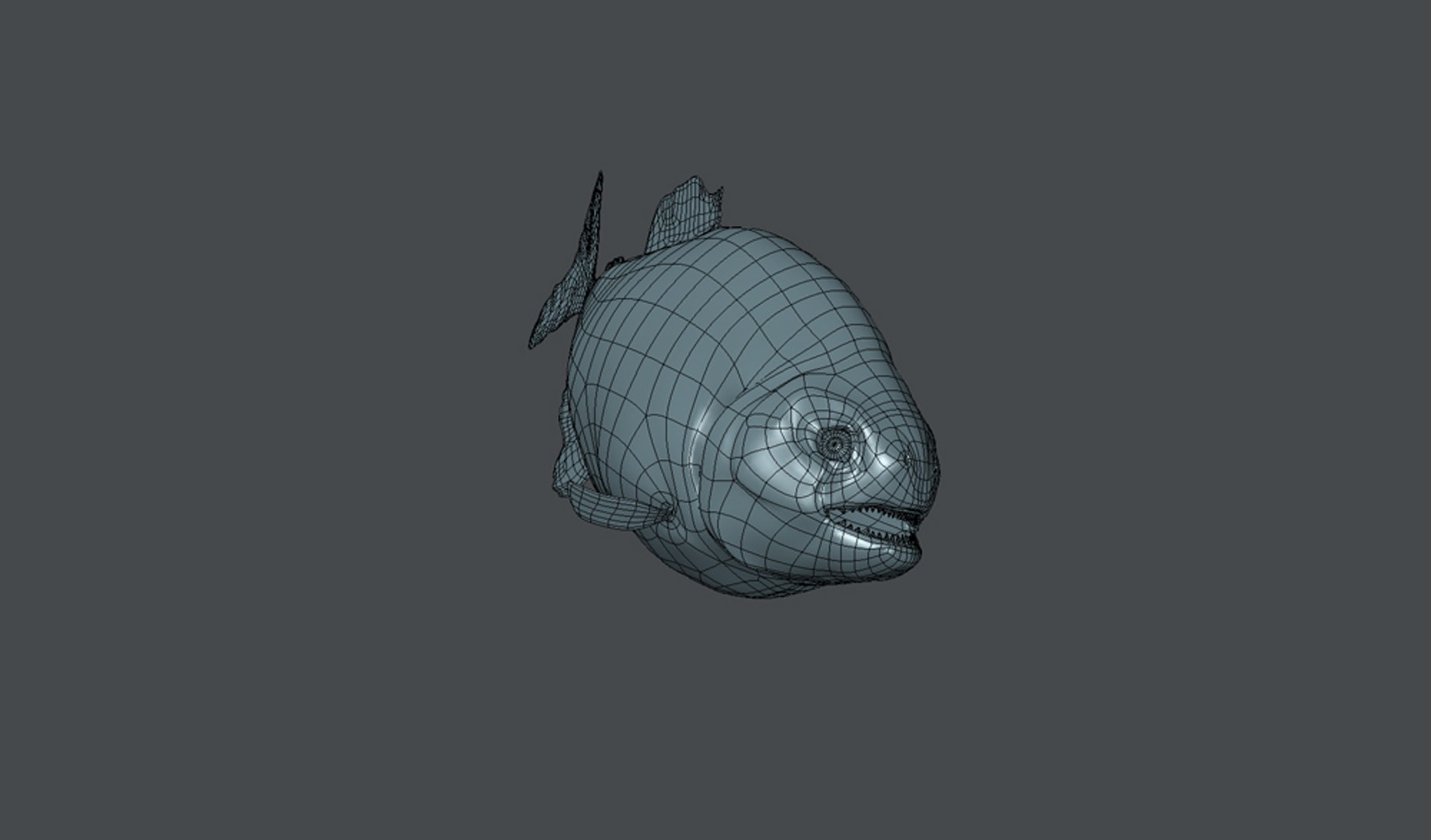 3d Scary Predator Fish