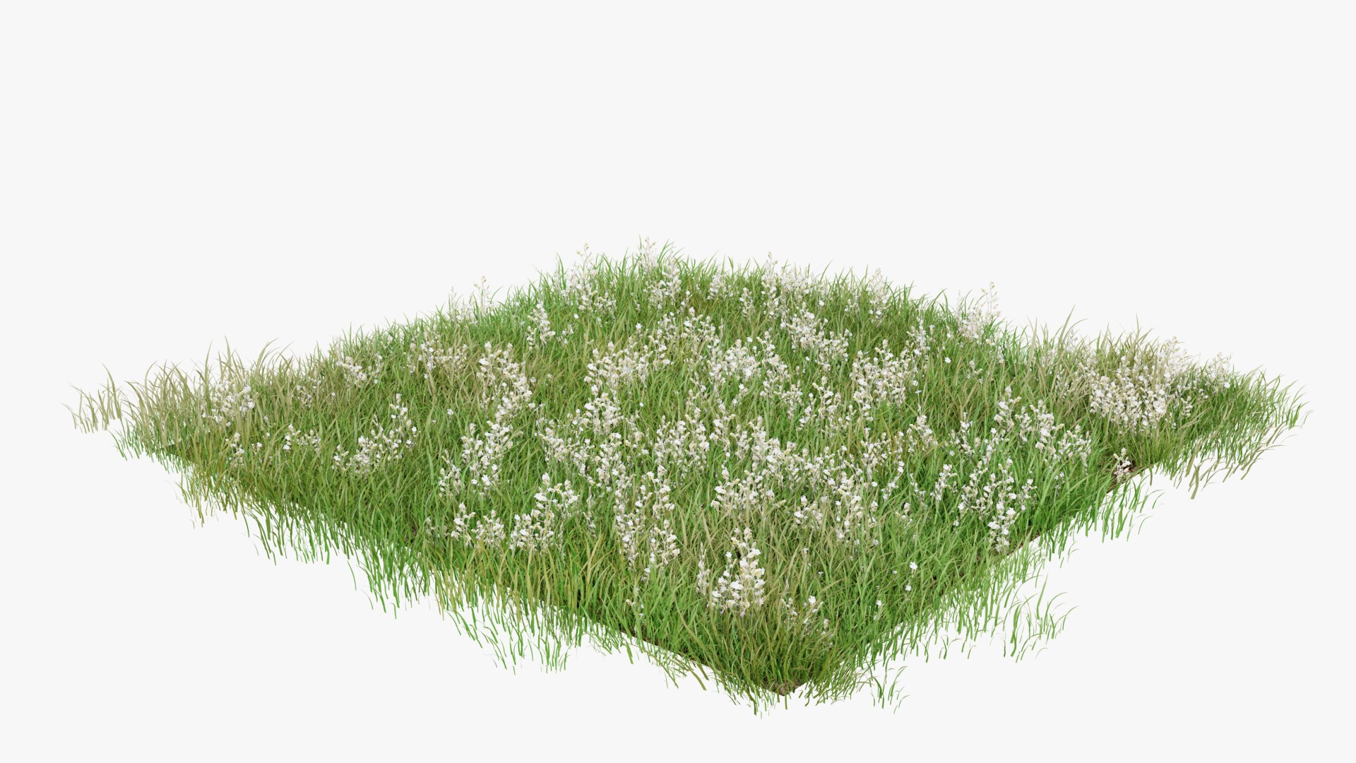 Wild Flower Grass 3D model - TurboSquid 1917572