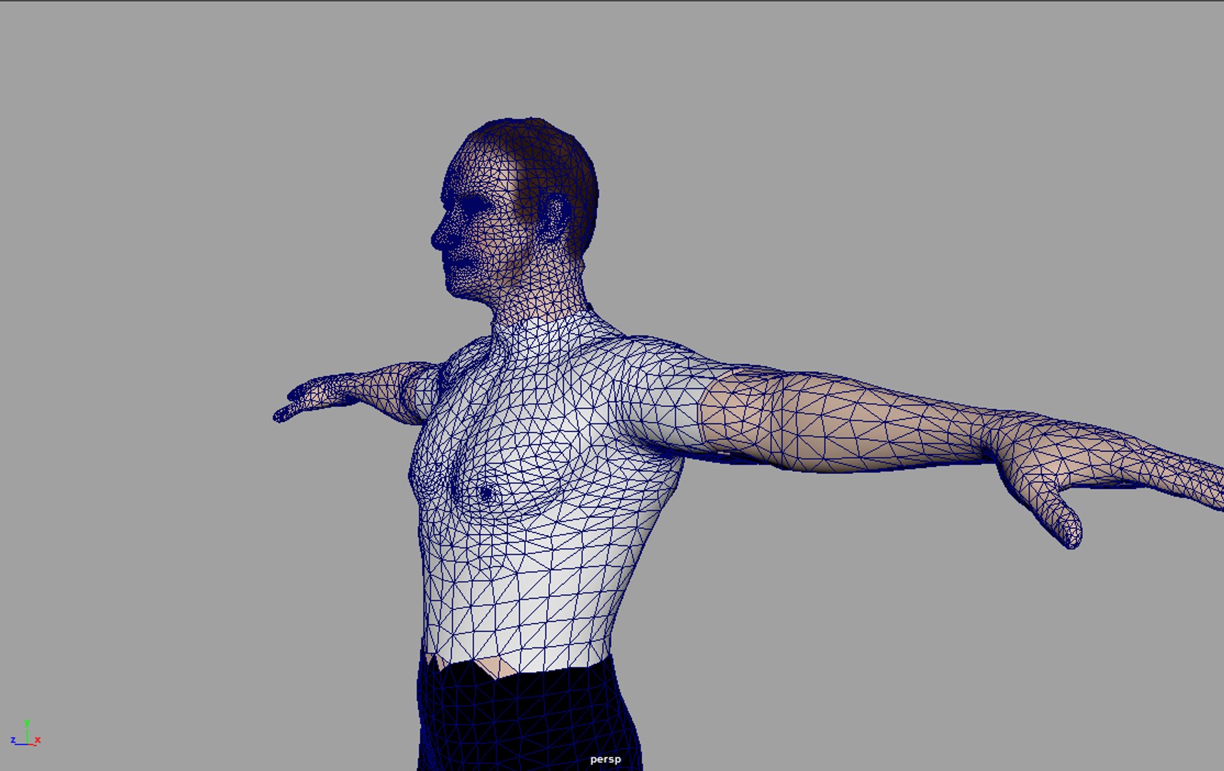 Poet model - TurboSquid 1328210