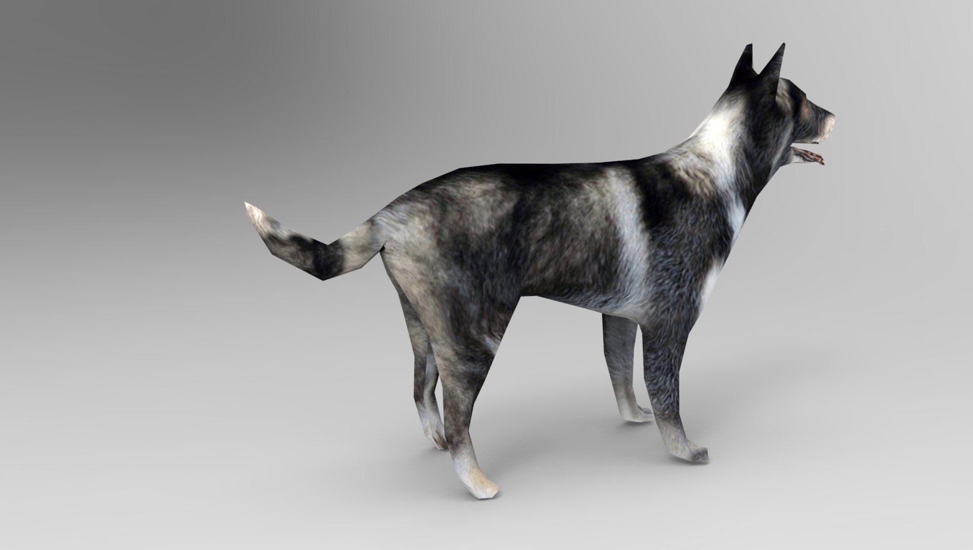 German Shepherd Dog Rigged 3D Model - TurboSquid 1204116