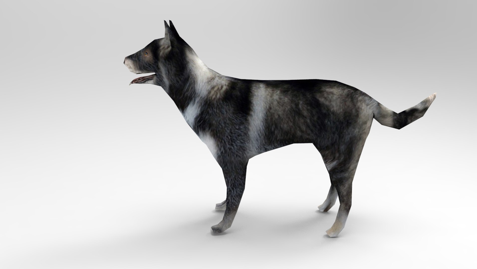 German Shepherd Dog Rigged 3D Model - TurboSquid 1204116