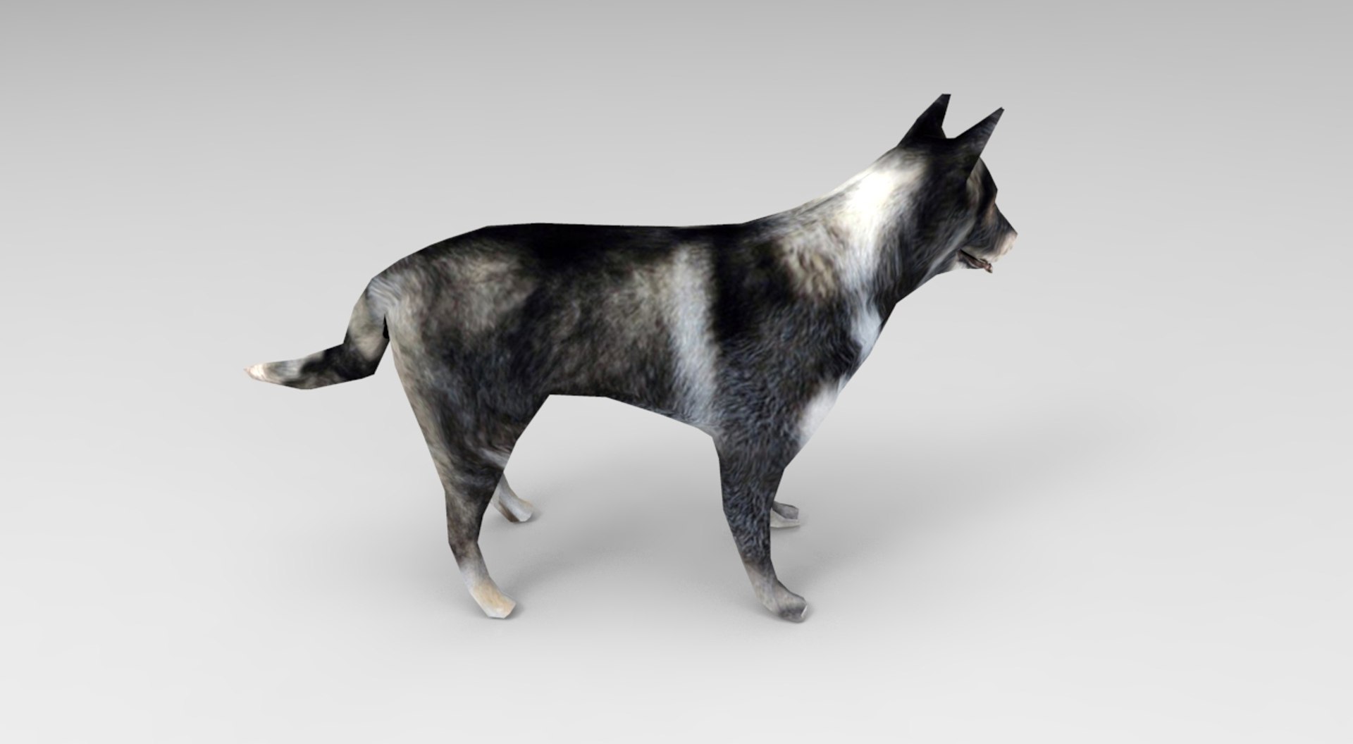 German Shepherd Dog Rigged 3D Model - TurboSquid 1204116