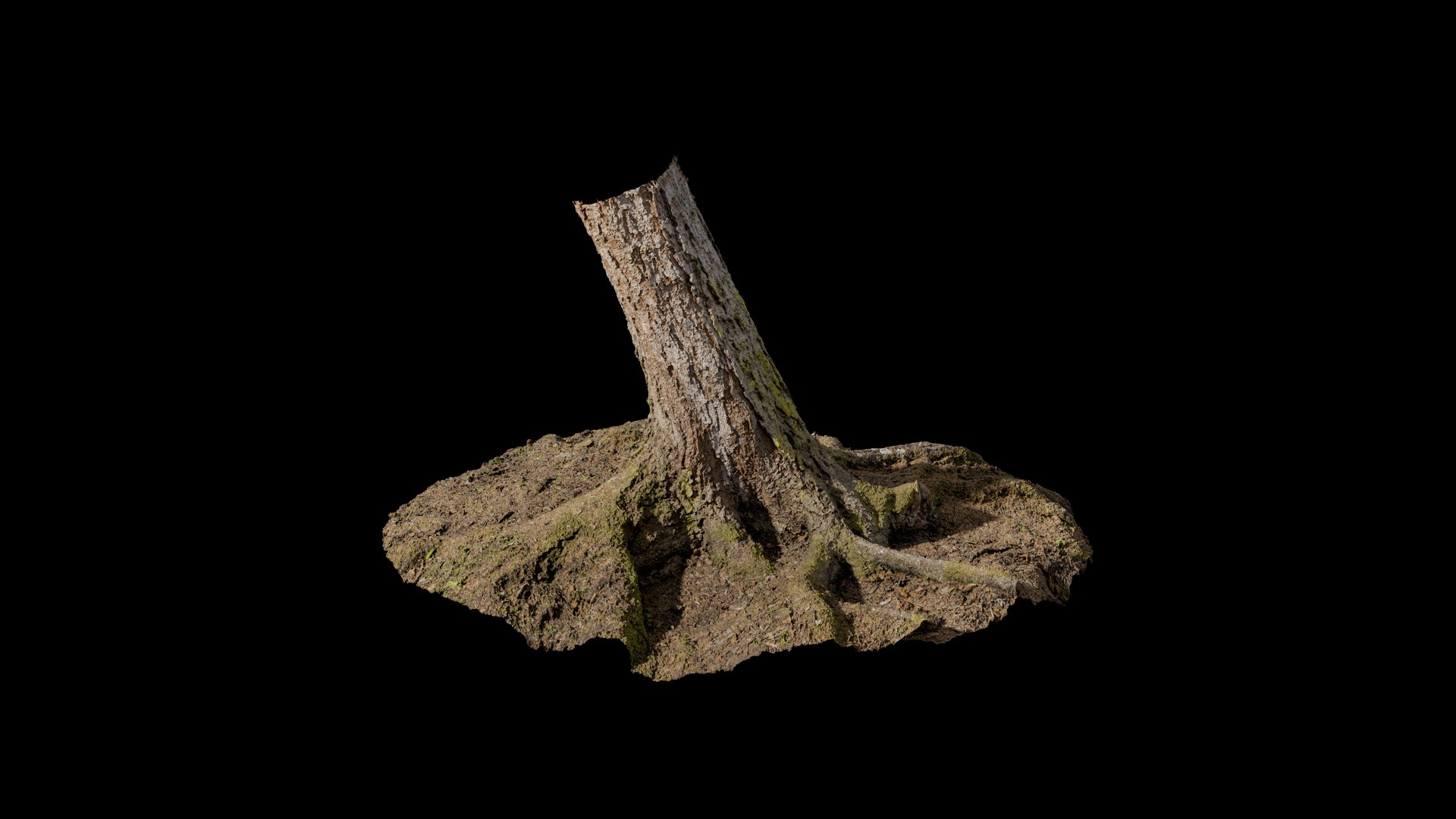 3D Anydrafts Abies Trunk 02 Combination - TurboSquid 2307749