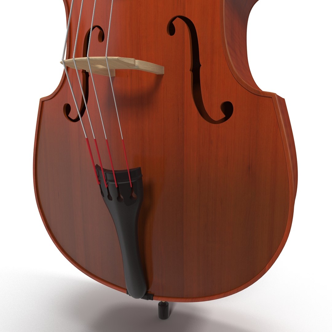 double bass 3d model