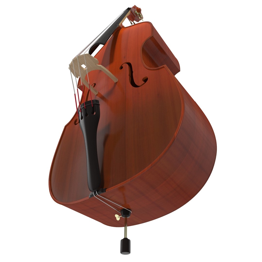 double bass 3d model