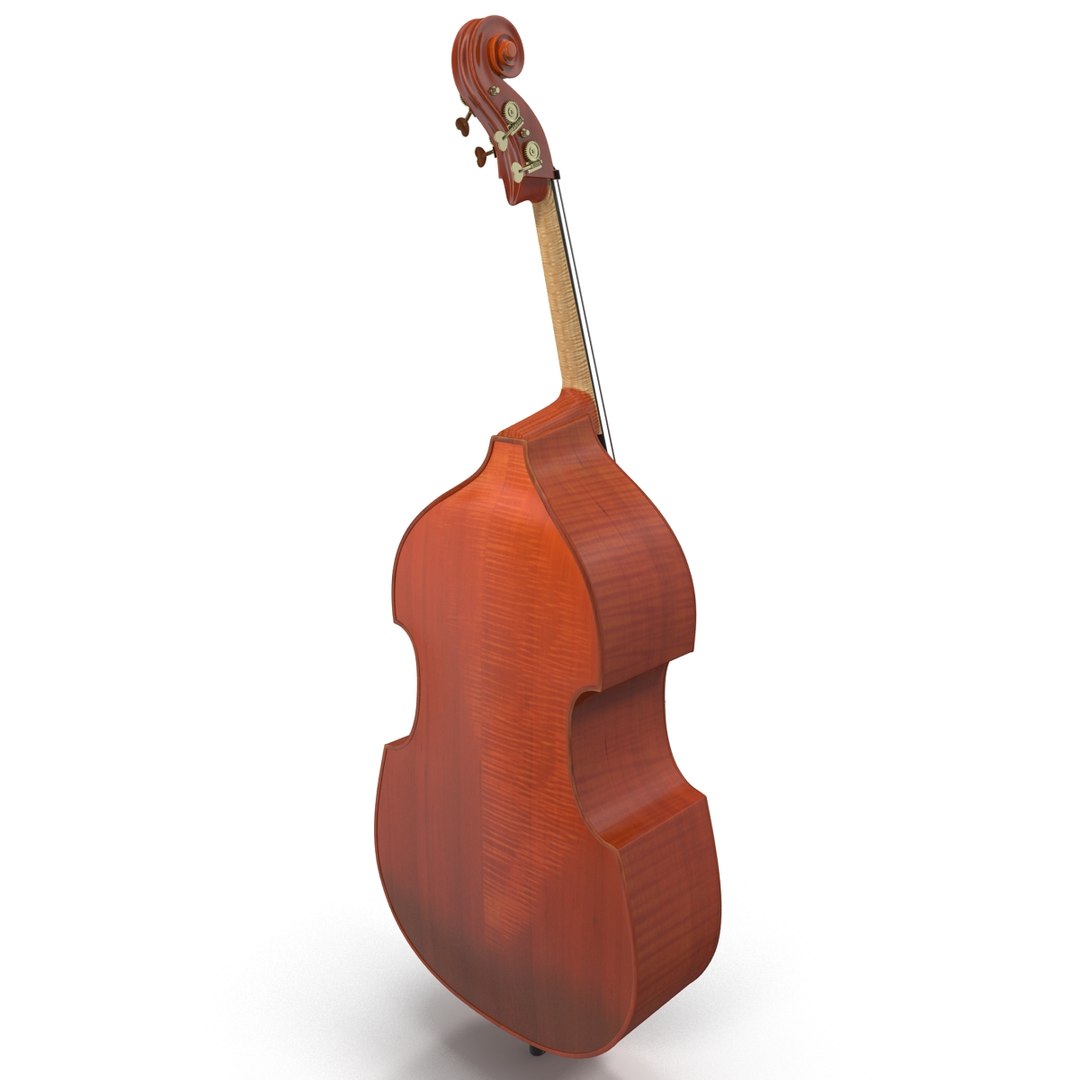 double bass 3d model