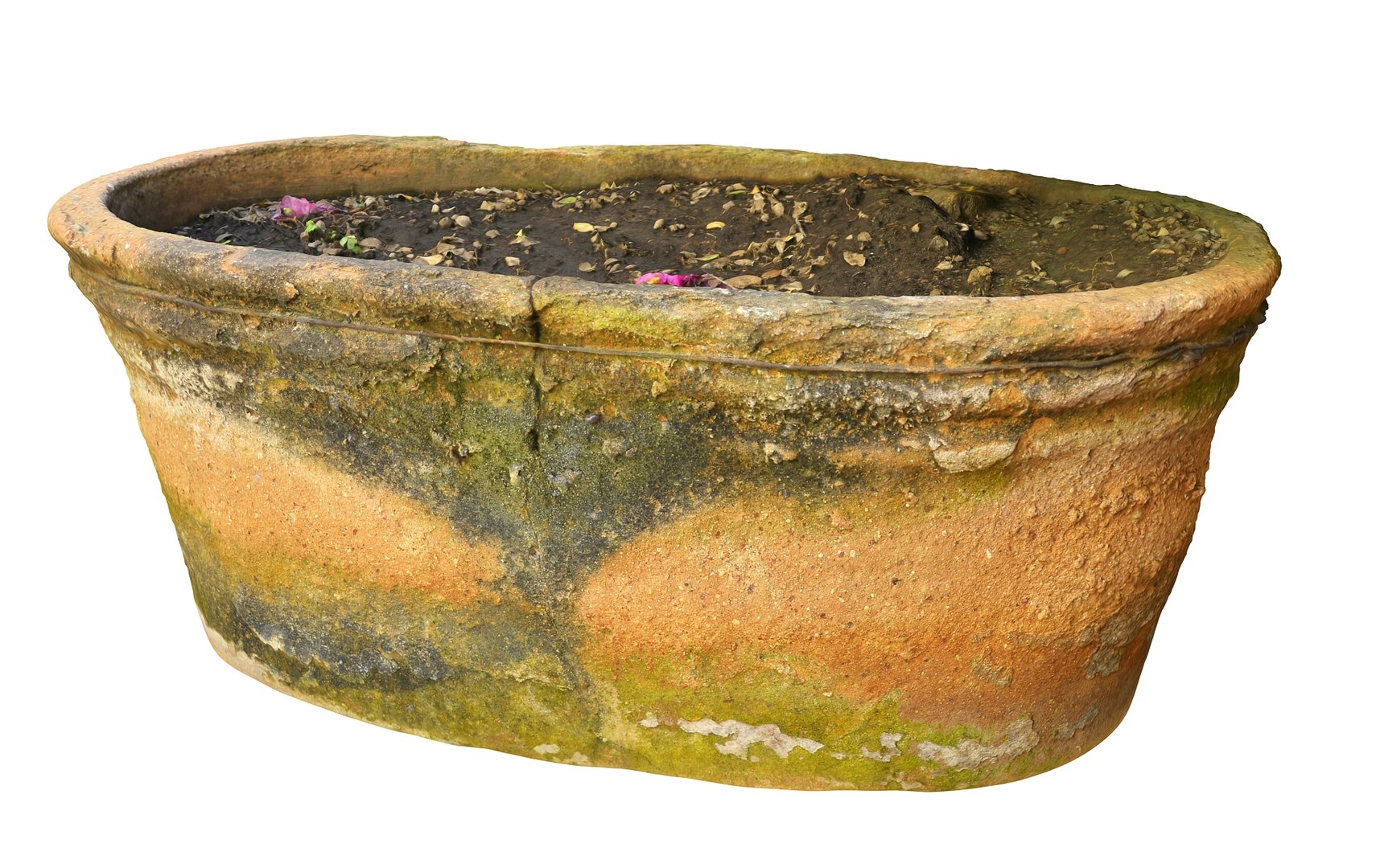 3D ancient flower pots pack - TurboSquid 1641071