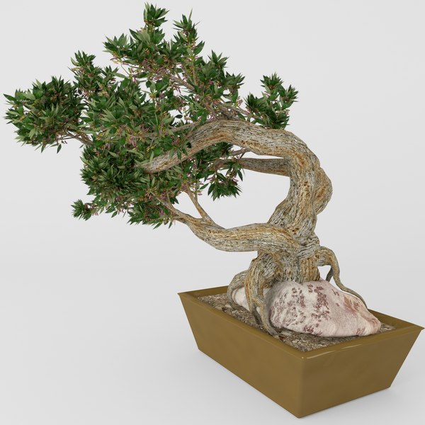 bonsai max