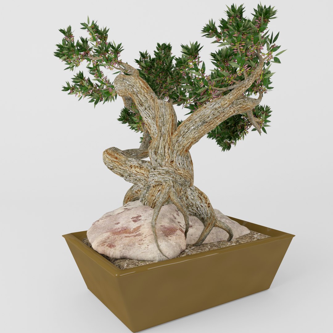 Bonsai Max