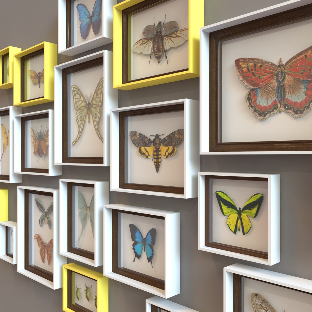 framed butterfly 3d 3ds