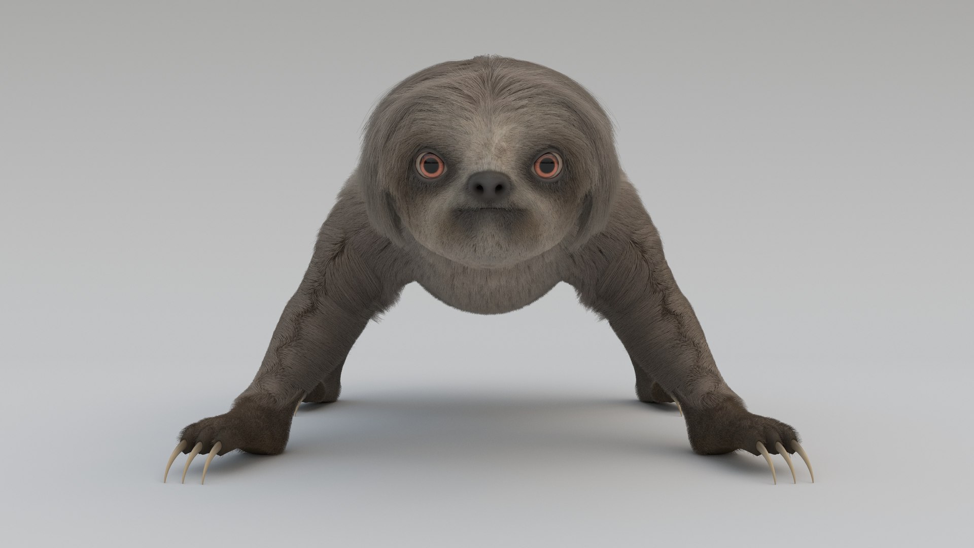 Sloth FUR ANIMATED 3D Model - TurboSquid 1986553