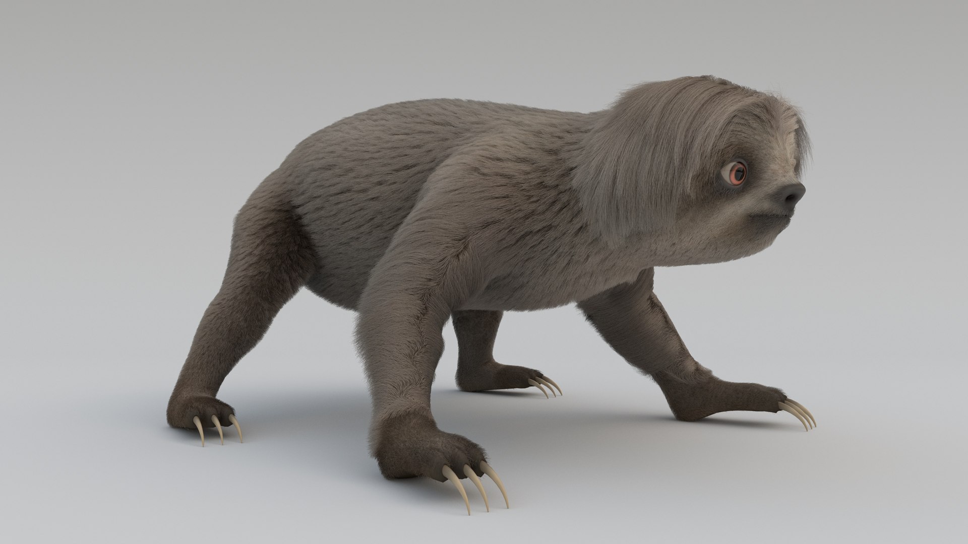 Sloth FUR ANIMATED 3D Model - TurboSquid 1986553