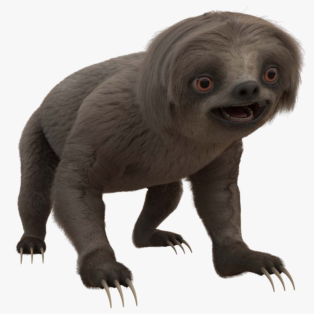 Sloth FUR ANIMATED 3D model - TurboSquid 1986553
