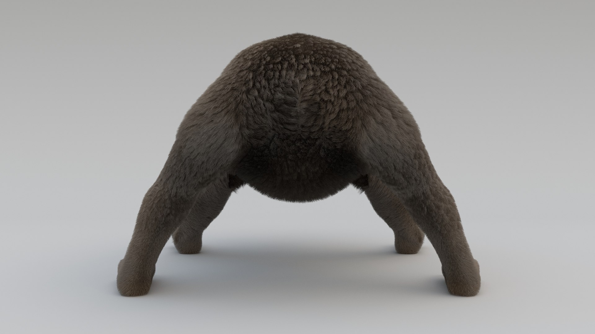Sloth FUR ANIMATED 3D Model - TurboSquid 1986553