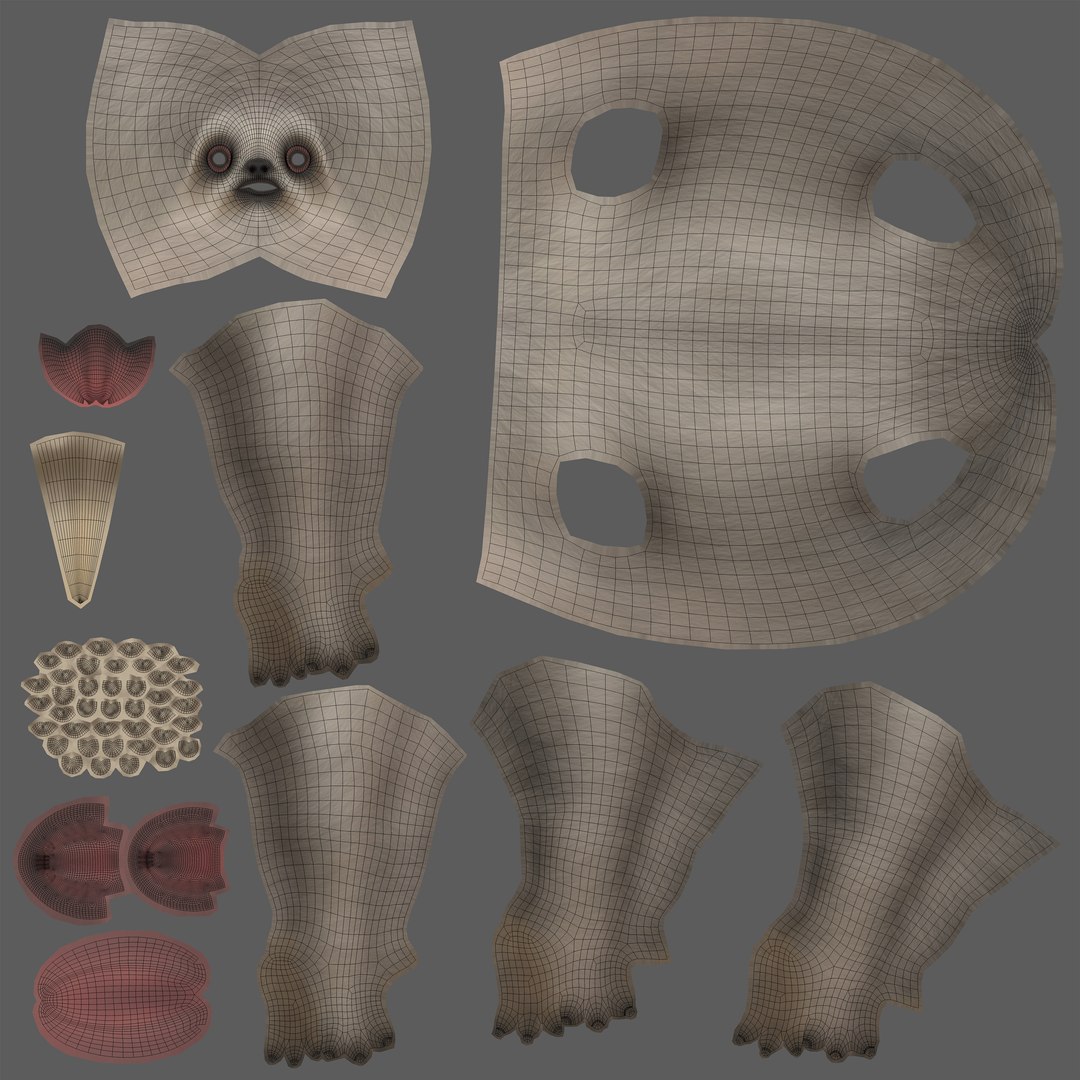 Sloth FUR ANIMATED 3D Model - TurboSquid 1986553