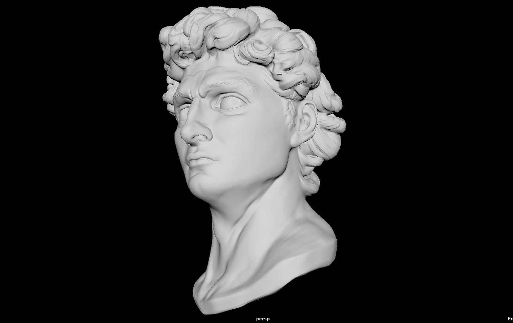 David Bust 3D - TurboSquid 1607007